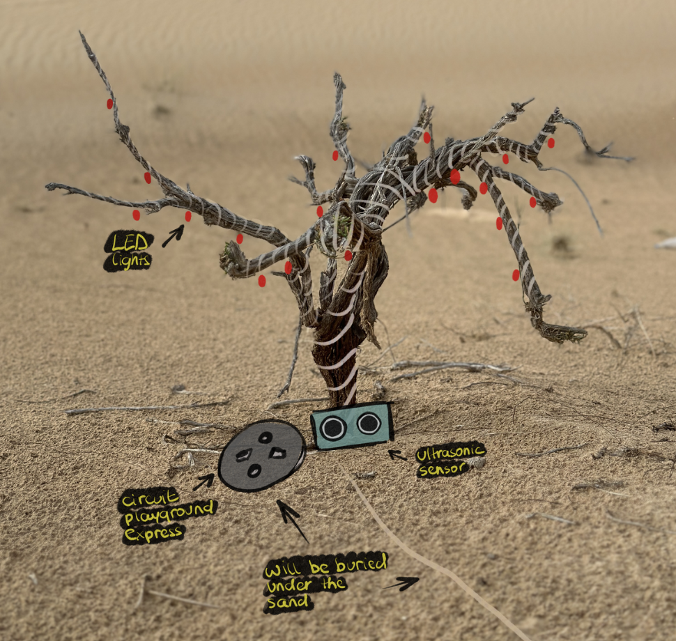 Desert Whispers: Final Project Proposal - Desert Media Art