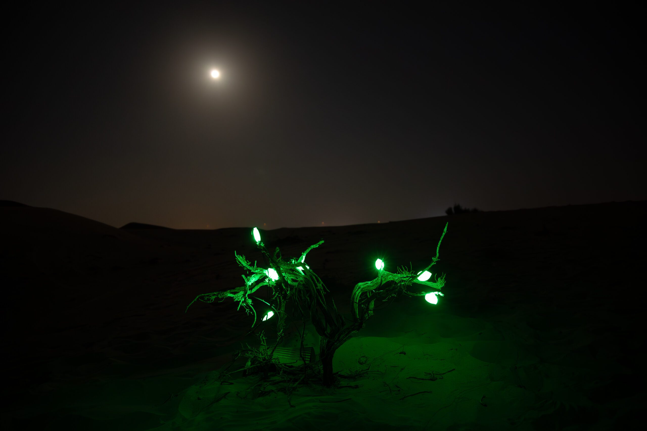 Desert Whispers – Final Installation Plan - Desert Media Art